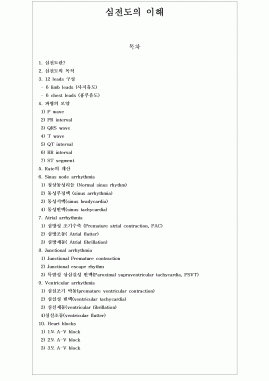 심전도의 이해-1페이지