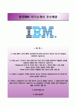 한국IBM 합격 자기소개서 / 한국IBM (인턴) 자소서 & 면접기출문제 [한국IBM자기소개서▩한국IBM자소서▩아이비엠] 비전, 직업관, 컨설턴트, 추천 이력서 레포트-1페이지