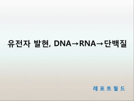 유전자 발현, DNA→RNA→단백질,전사-DNA 정보가 mRNA로.pptx-1페이지