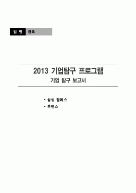 기업 탐방 보고서 팀명,2013 기업탐구 프로그램,기업 탐구 보고서-1페이지