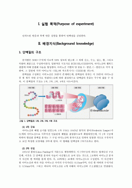 [기초 생물학] 단백질검출 실험 - 닌히드린 반응과 뷰렛 반응 실험을 통하여 단백질을 검정-1페이지