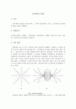 [일반물리학 실험] 등전위선 실험-1페이지