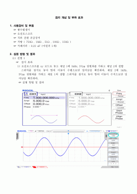 실험보고서 - 접지 개념 및 부하 효과-1페이지