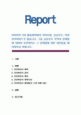 사회복지 3대 활동영역에서 사회보험, 공공부조, 사회복지서비스가 있습니다. 그중 공공부조 목적과 문제점에 대하여 토론하시고 그 문제점에 대한 대안들을 제시하시길 바랍니다.-1페이지