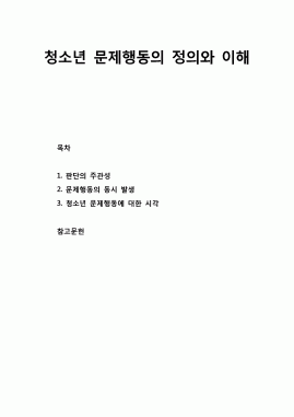 [청소년 문제행동] 청소년靑少年 문제행동의 정의와 이해 - 판단의 주관성, 문제행동의 동시 발생, 청소년 문제행동에 대한 시각-1페이지