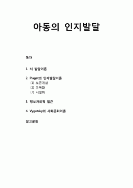 [영유아infants발달] 아동의 인지발달 - 뇌 발달이론, Piaget의 인지발달이론(보존개념, 유목화, 서열화), 정보처리적 접근, Vygotsky의 사회문화이론-1페이지