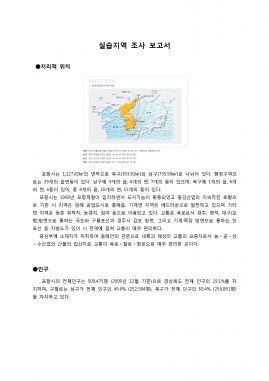 「포항시 실습지역 조사 보고서」포항시 복지 실태, 복지 사업, 복지 현황 분석-1페이지