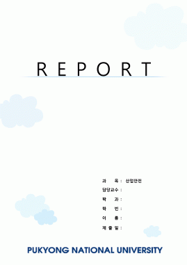 산업안전 report,안전이란?
-1페이지