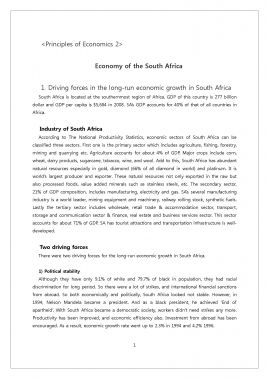 Principles of Economics - Economy of the South Africa [영어,영문]-1페이지