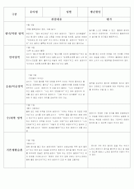 평가 인증 통과한 영유아 관찰일지 10명 {쌓기/역할 영역, 언어영역, 음률/미술영역, 수/과학 영역, 기본생활습관}-1페이지