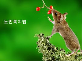 노인복지법.ppt-1페이지