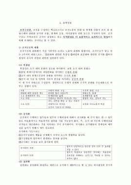 사회조직에 대하여 -1페이지