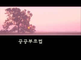 공공부조법 - 공공부조법의 개요와 특성 & 국민기초생활보장법-1페이지