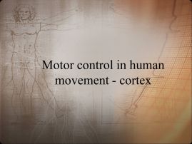 Motor control in human movement - cortex 피질.pptx-1페이지
