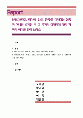 BRIC(브라질, 러시아, 인도, 중국)을 대체하는 신흥국 하나만 소개한 후 그 국가의 잠재력에 대해 각자의 생각을 말해 보세요.-1페이지