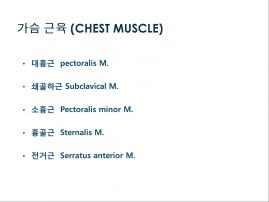 02. 가슴 근육 (chest muscle)의 기시, 정지 , 작용 , TP사진, 기능적 단위 등.pptx-1페이지