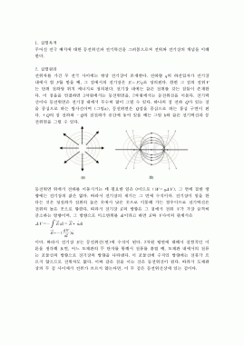 등전위선과 전기장 : 주어진 전극 배치에 대한 등전위선과 전기력선을 그려봄으로써 전위와 전기장의 개념을 이해한다-1페이지