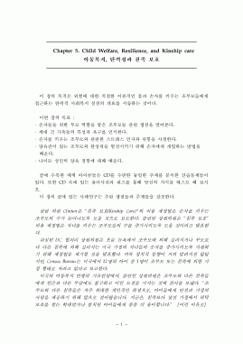 [원서번역] A Risk and Resilience Perspective (저자-Greene) 5장 아동복지, 탄력성과 친족 보호-1페이지