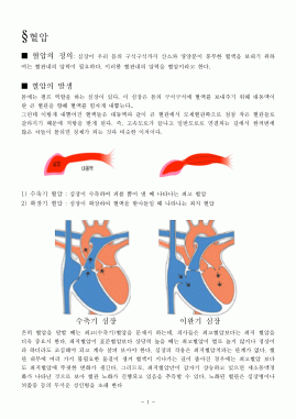 고혈압 - §혈압 & 고혈압-1페이지