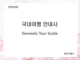 관광학원론 - 국내여행 안내사 (Domestic Tour Guide).pptx-1페이지