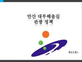 [관광정책론] 안산 대부해솔길.pptx-1페이지