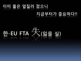 [한-EU FTA] 한국과 EU의 FTA 협상과정 및 시사점과 서비스 산업의 미래, 한국과 EU의 FTA 문제점, 한국과 EU의 FTA 전망.pptx-1페이지