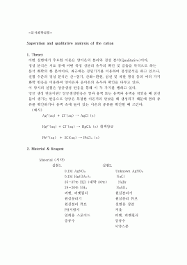 분석화학실험Saperation and qualitative analysis of the cation
-1페이지