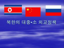 북한의 대중국 소련 외교정책-1페이지