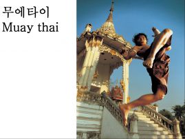 무에타이 Muay thai-1페이지