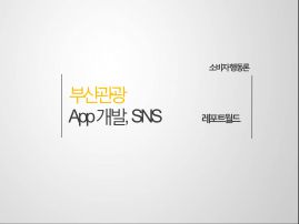 소비자행동론 - 부산관광, App 개발, SNS-1페이지