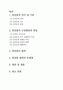 중산층-1페이지