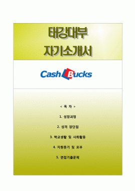  우수RESUME [태강대부 Cash Bucks 자기소개서] 태강대부 자소서 √면접기출문제 [태강대부자기소개서♬태강대부자소서] 추천 이력서 합격예문
-1페이지