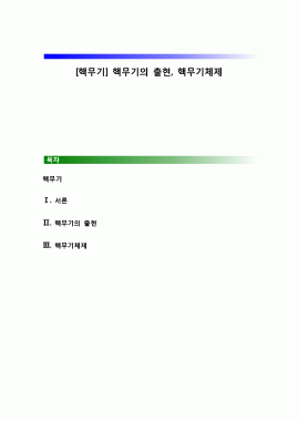 [핵무기 (核武器)] 핵무기의 출현, 핵무기체제-1페이지