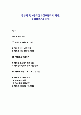 정부政府)의 정보관리 (정부정보관리의 의의, 행정정보관리체계)-1페이지