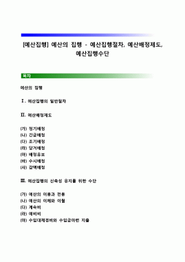 [예산집행 (豫算執行)] 예산의 집행 - 예산집행절차, 예산배정제도, 예산집행수단-1페이지