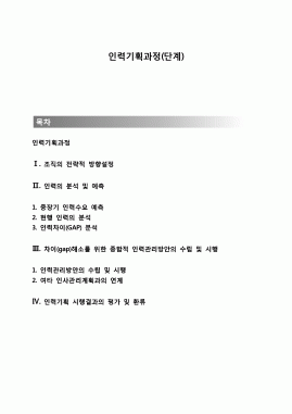 인력기획과정(단계) - 조직의 전략적 방향설정, 인력의 분석 및 예측, 차이(gap)해소를 위한 종합적 인력관리방안의 수립 및 시행,  인력기획 시행결과의 평가 및 환류-1페이지