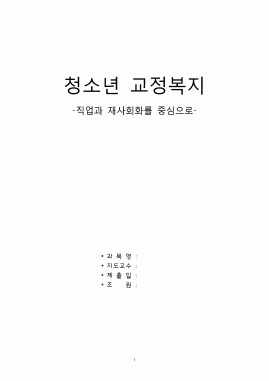 [청소년 교정복지] -직업과 재사회화를 중심으로- 청소년 교정 복지의 현장, 청소년 교정 복지의 필요성, 청소년 교정 복지의 특징, 범죄 청소년의 재사회화, 청소년의 집 방문 내용-1페이지