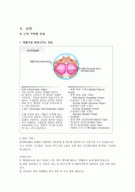 웨이트 트레이닝 (Weight Training) 부위별 운동 방법-1페이지