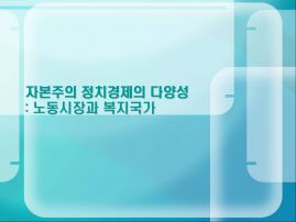 자본주의 정치경제의 다양성 : 노동시장과 복지국가 (자본주의의 다양성, 노동시장, 복지국가).ppt-1페이지