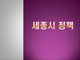 [세종시 정책] 정책 전개과정,세종시 정책 과정, 세종시 정책 분석, 세종시 정책 평가, 세종시 정책 전망-1페이지