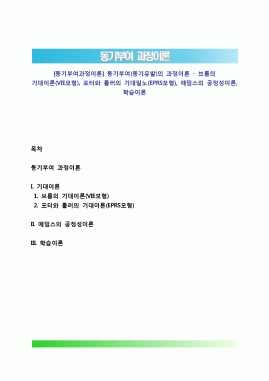 [동기부여과정이론 Motivation Process Theory] 동기부여(동기유발)의 과정이론 - 브룸의 기대이론(VIE모형), 포터와 롤러의 기대일노(EPRS모형), 애덤스의 공정성이론, 학습이론-1페이지