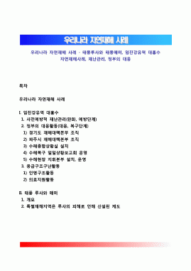 한국(우리나라) 자연재해 사례 - 임진강유역 대홍수 자연재해 사례, 태풍루사와 태풍매미, 재난관리, 정부의 대응-1페이지