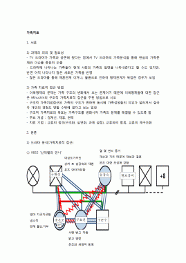 [가족치료family therapy theory  적용] TV 드라마 속 이복형제들의 가족 문제와 그 해결 방안 탐색, 가족 치료 사례, 가족치료 적용 -1페이지