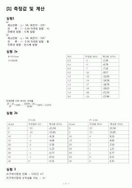 전류와 자기장, 지구자기장 (결과보고서)-1페이지