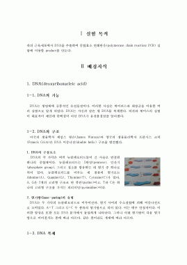 DNA 추출 및 PCR-1페이지