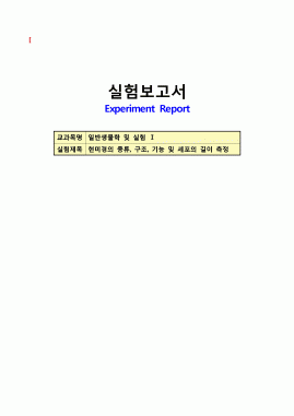 일반생물학 및 실험보고서 Experiment Report] 현미경 - 현미경의 종류, 구조, 기능 및 세포의 길이 측정 ; 현미경에  관한 전반적인 지식 및 사용법을 습득하고, 양파세포를 관찰하고 길이를 측정한다.