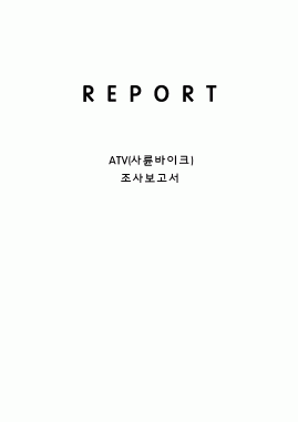 [ATV(사륜바이크) 조사보고서] ATV(사륜바이크),ATV의 정의와 특성,ATV의 세계시장조사,국내 ATV시장 경제적 파급효과-1페이지