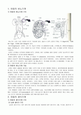 아동의 비뇨, 생식기계-1페이지