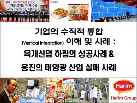 기업의 수직적 통합(Vertical Integration) 이해 및 사례 육개산업 하림의 성공사례 & 웅진의 태양광 산업 실패 사례  [기업의 수직적 통합].pptx-1페이지