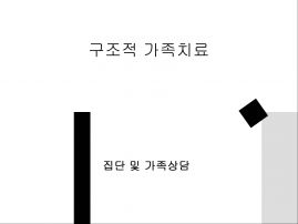 [구조構造적 가족치료] 구조적 가족치료 기법, 적용방법-1페이지